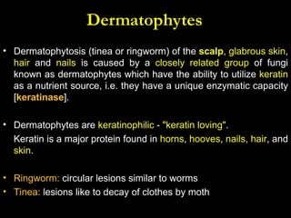 dermatophytosis .ppt