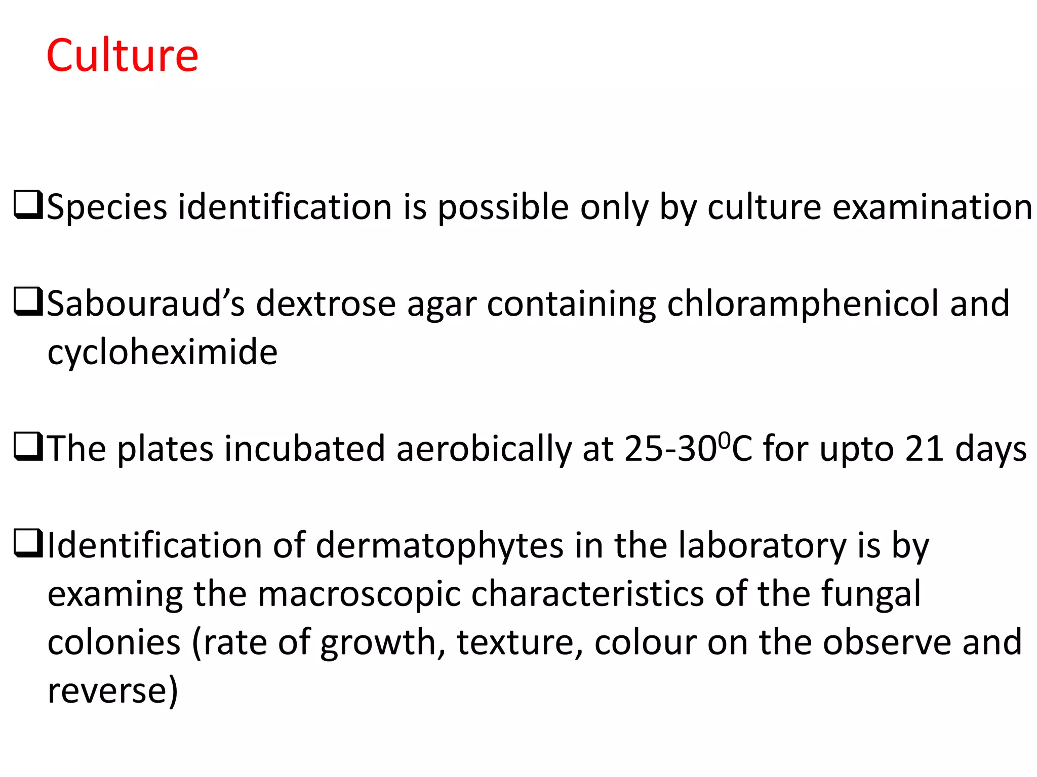 Dermatophytosis, raghu | PPTX