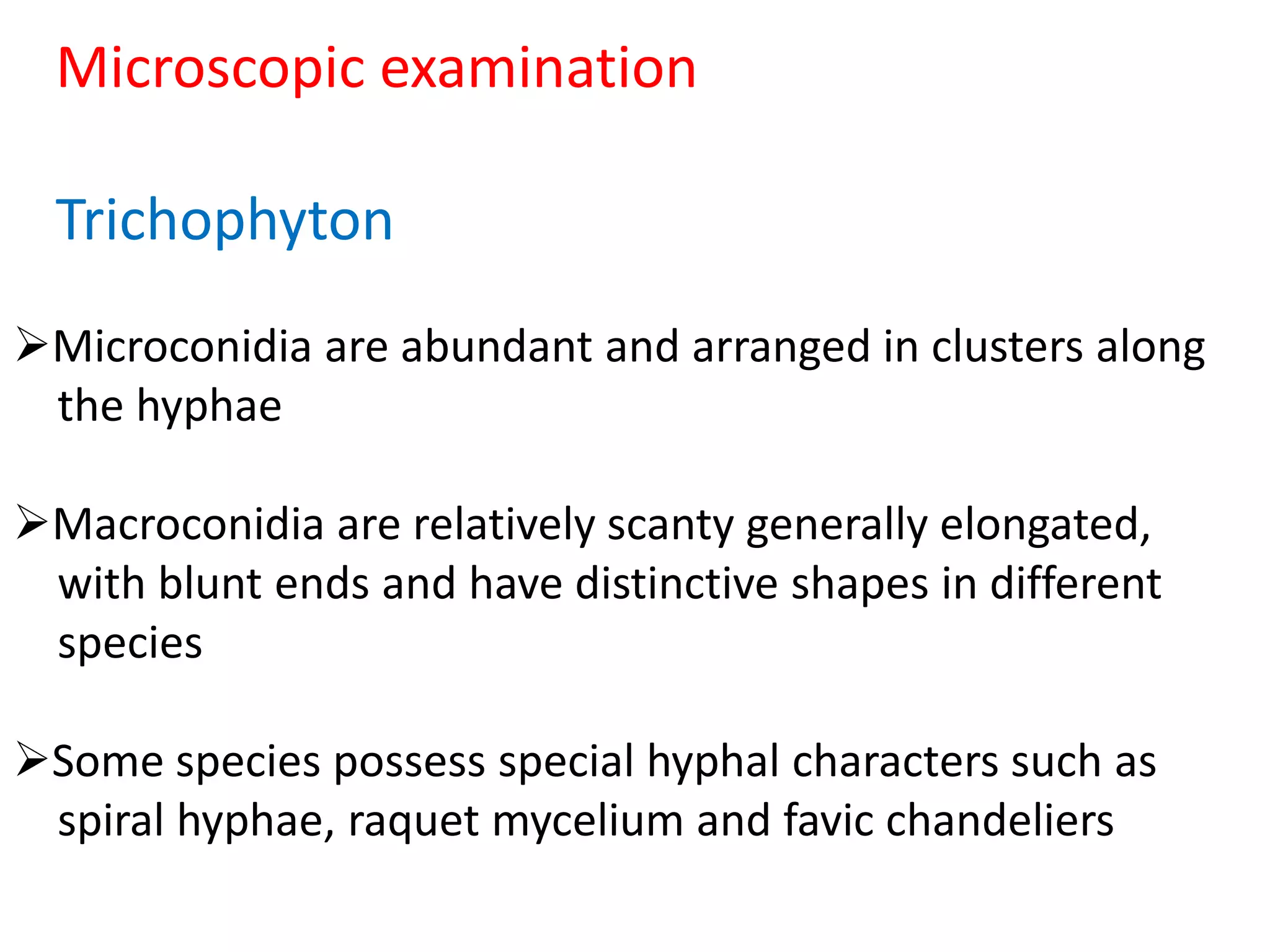 Dermatophytosis, raghu | PPTX
