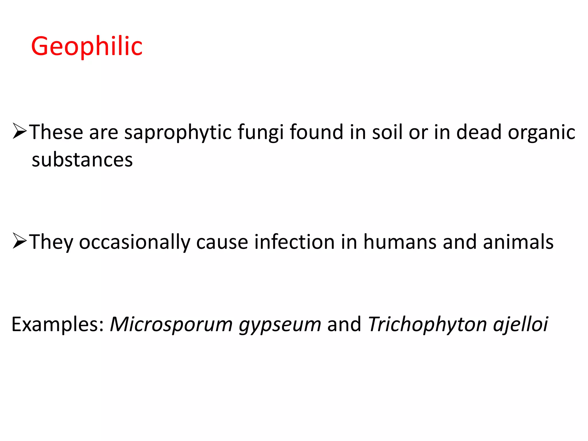 Dermatophytosis, raghu | PPTX