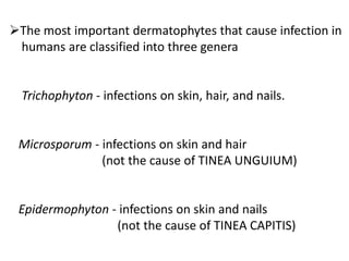 Dermatophytosis, raghu | PPTX