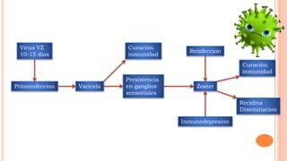 Dermatosis virales (herpes) | PPT