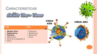 Dermatosis virales (herpes) | PPTX