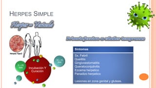 Dermatosis virales (herpes) | PPTX