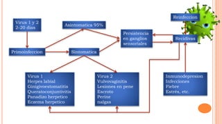 Dermatosis virales (herpes) | PPTX