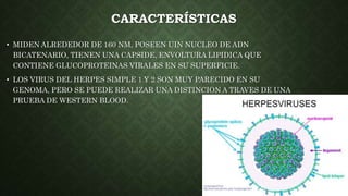 Dermatosis virales | PPTX