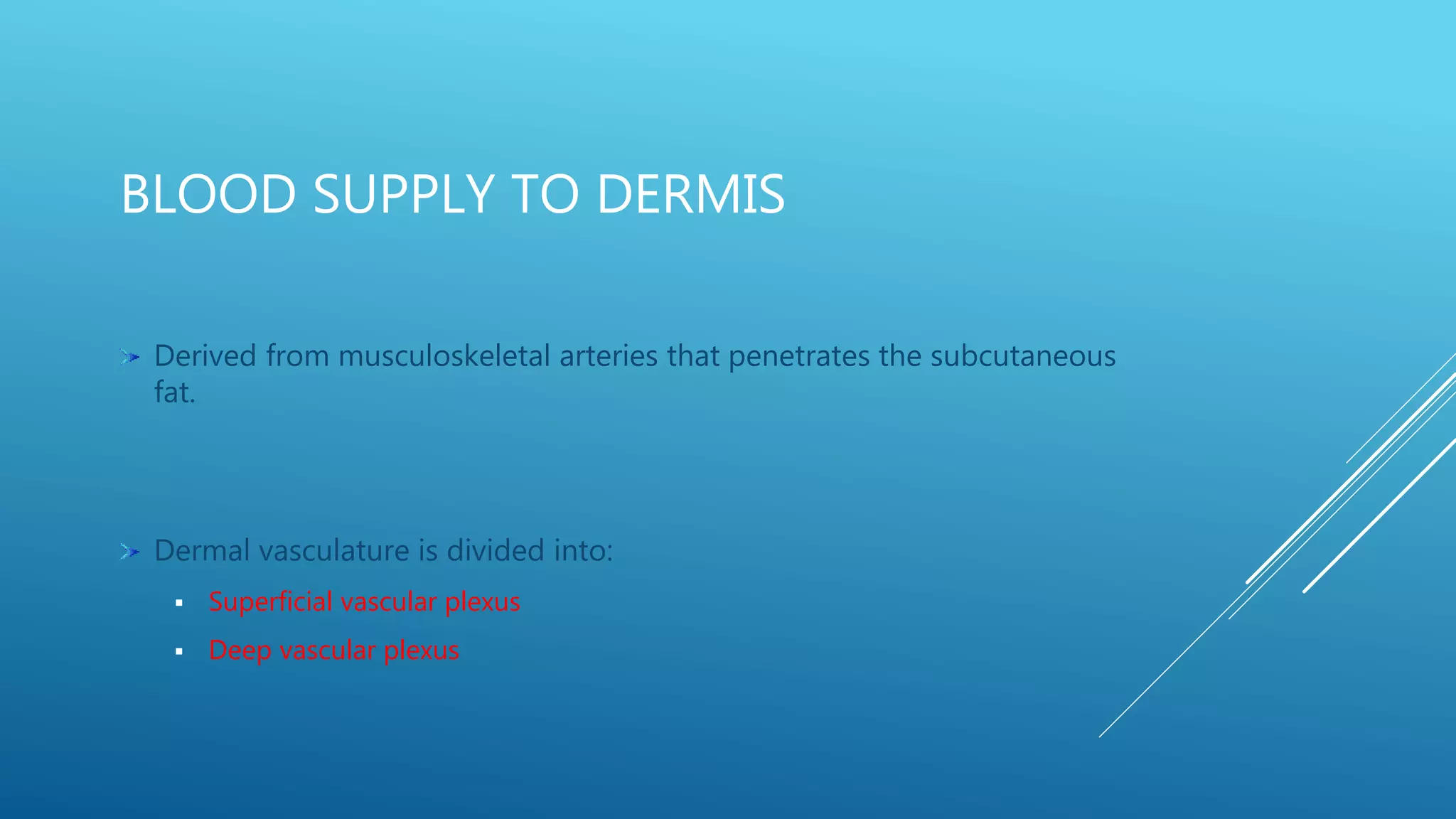 Dermis | PPTX