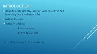 Dermis | PPTX