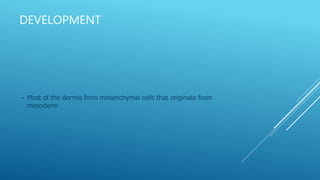 Dermis | PPTX