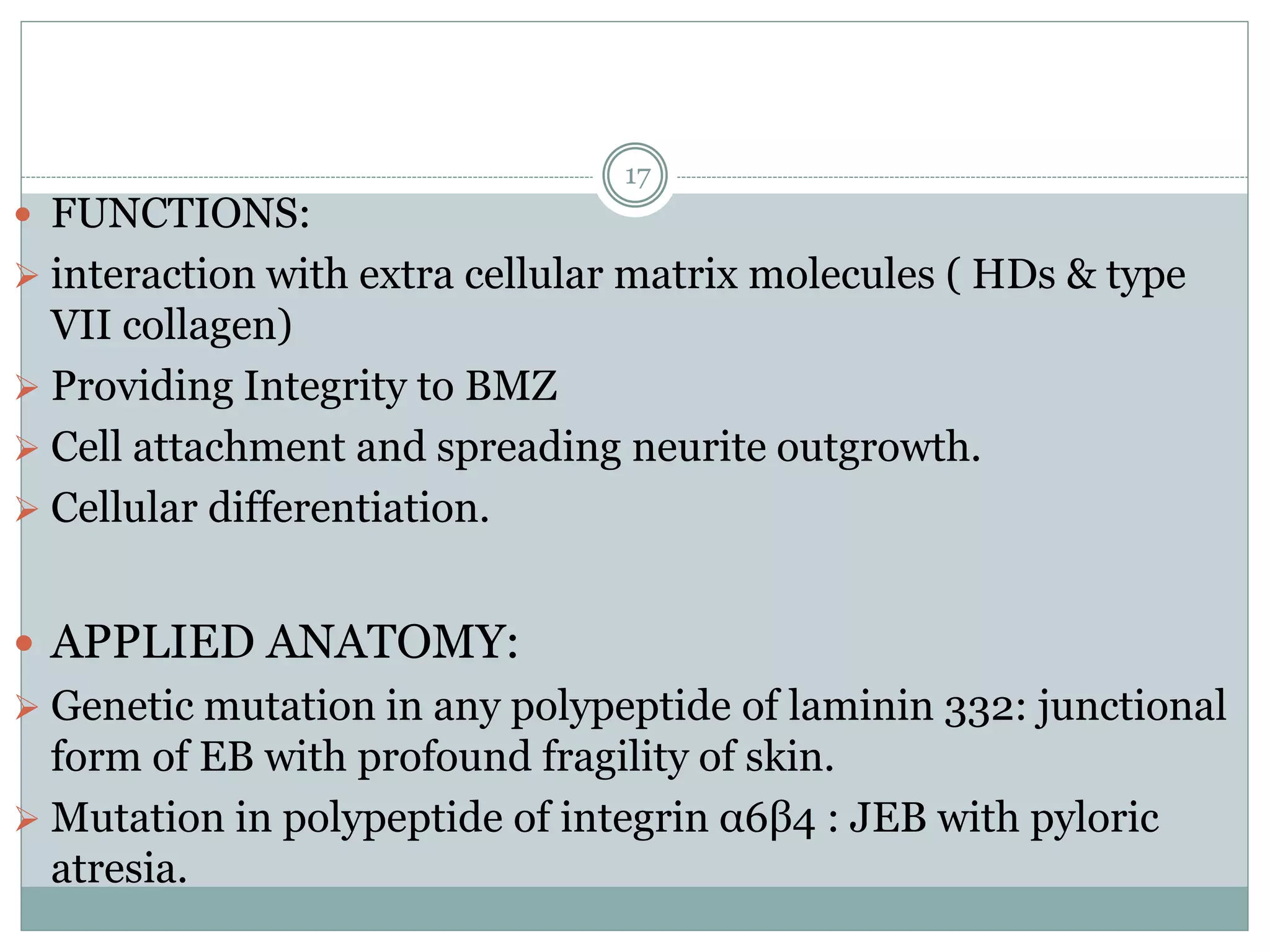 Dermo epidermal junction | PPTX
