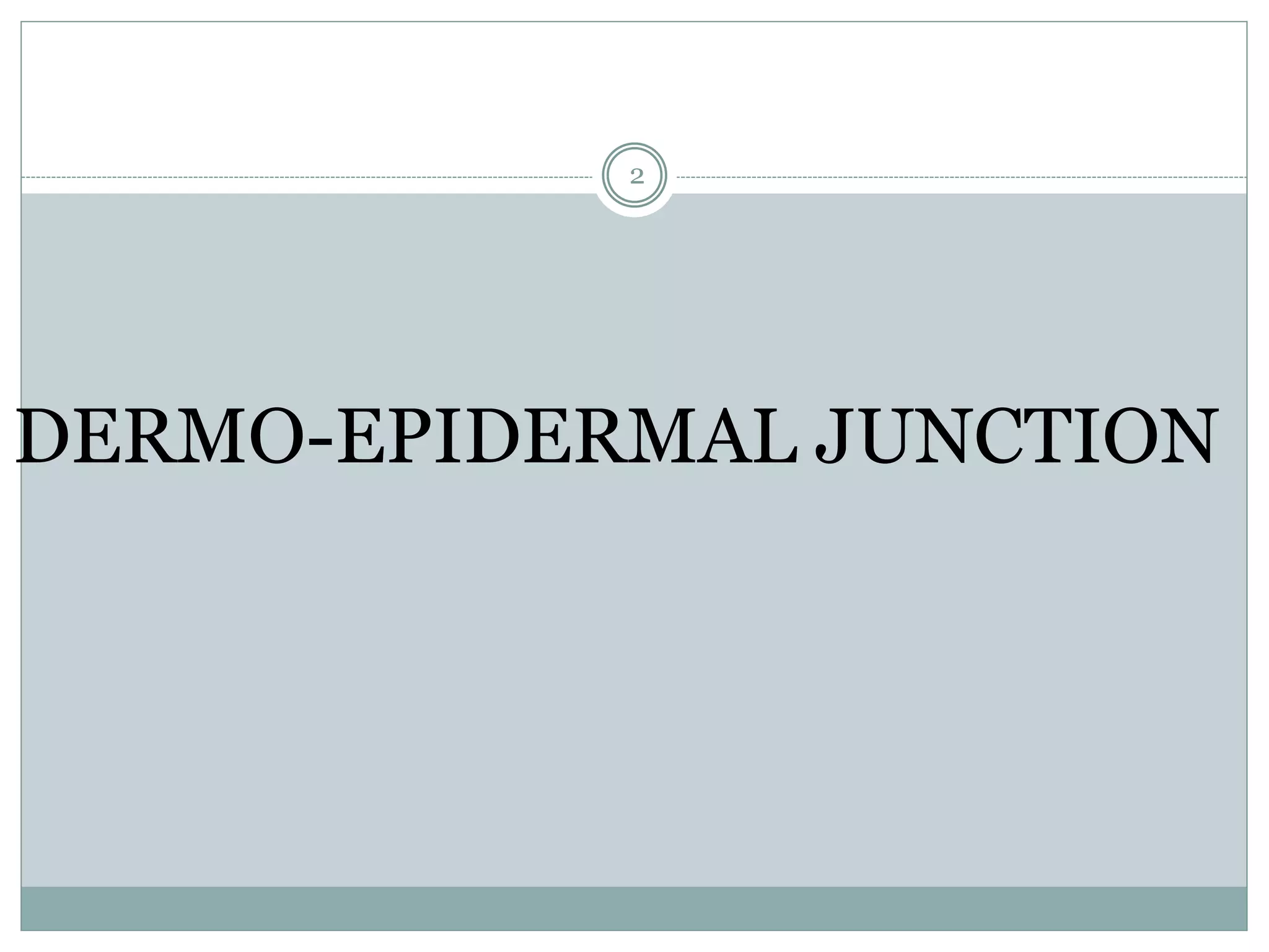 Dermo epidermal junction | PPTX