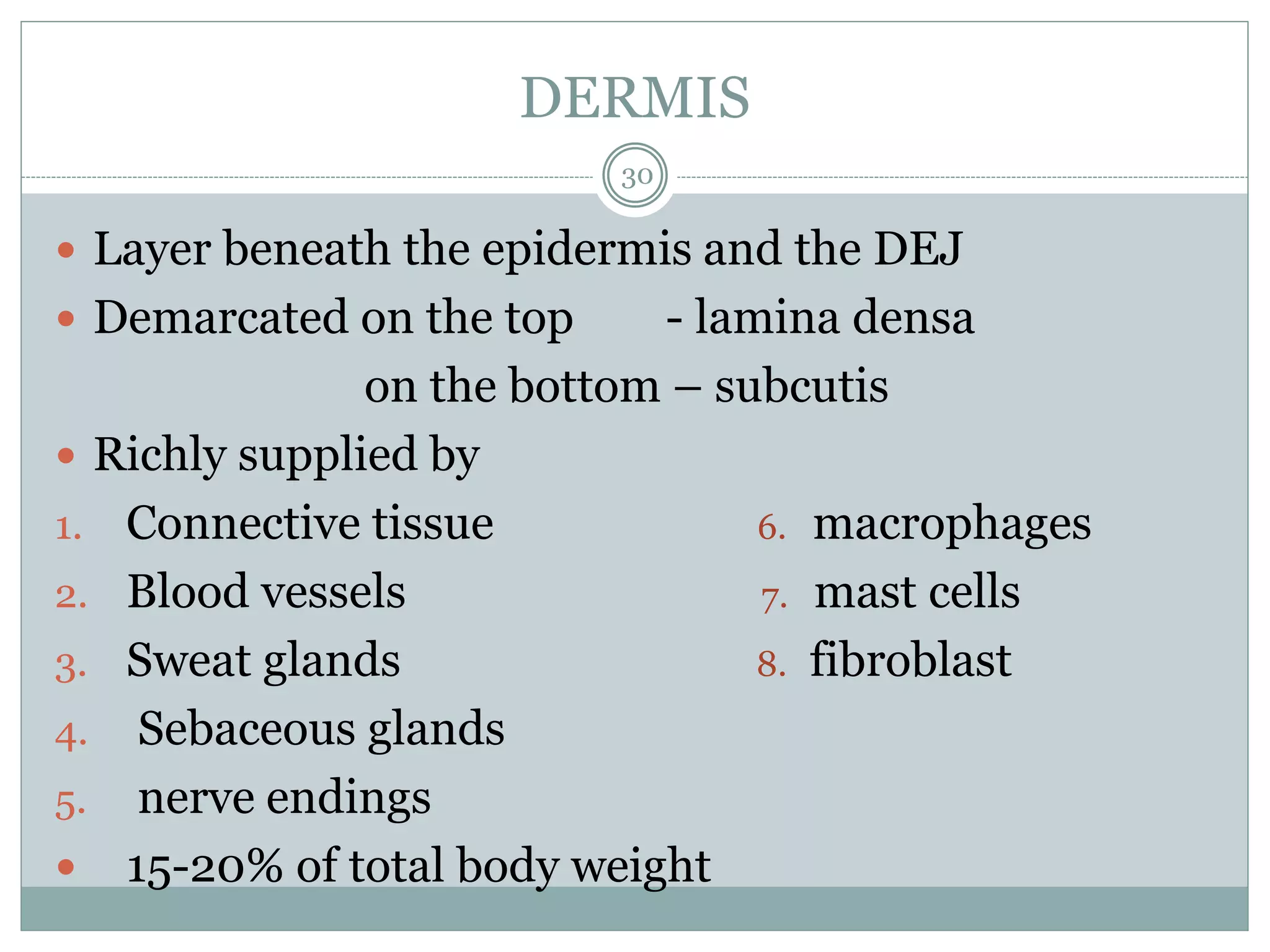 Dermo epidermal junction | PPTX