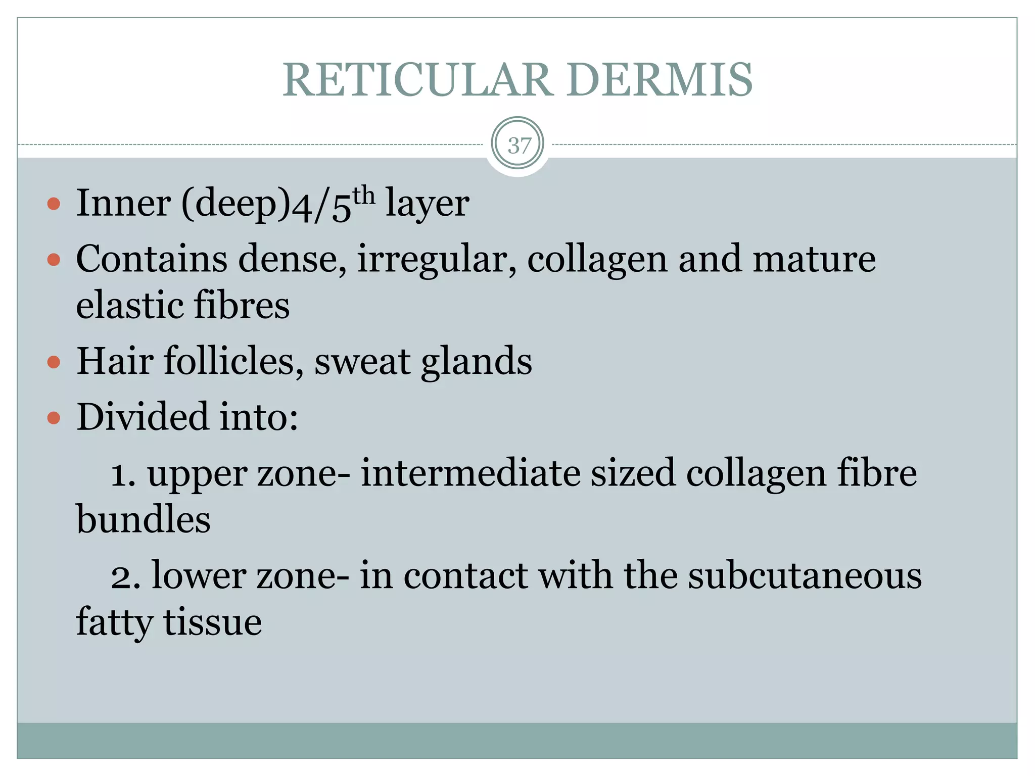Dermo epidermal junction | PPTX