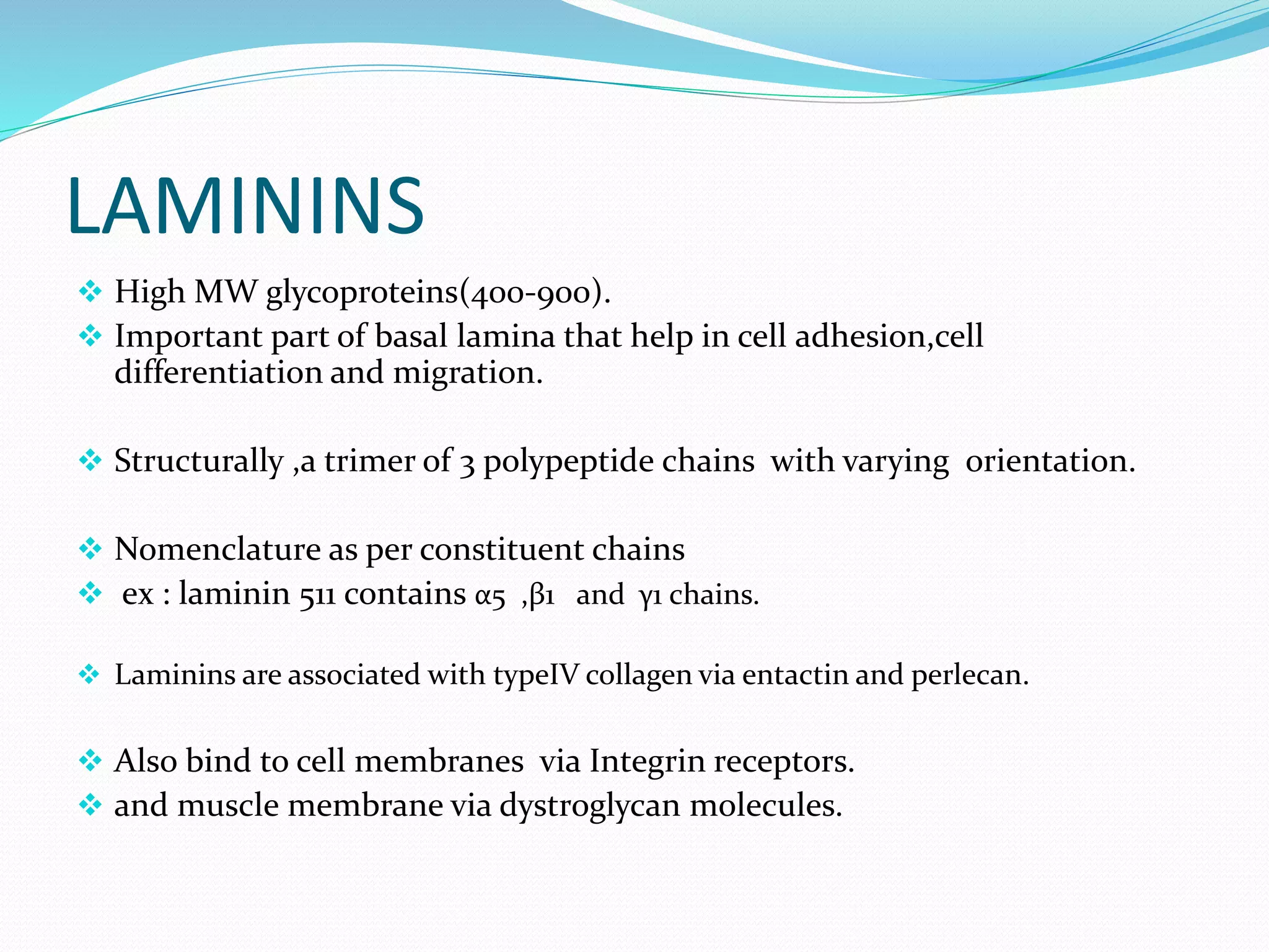 Dermo Epidermal Junction Pptx