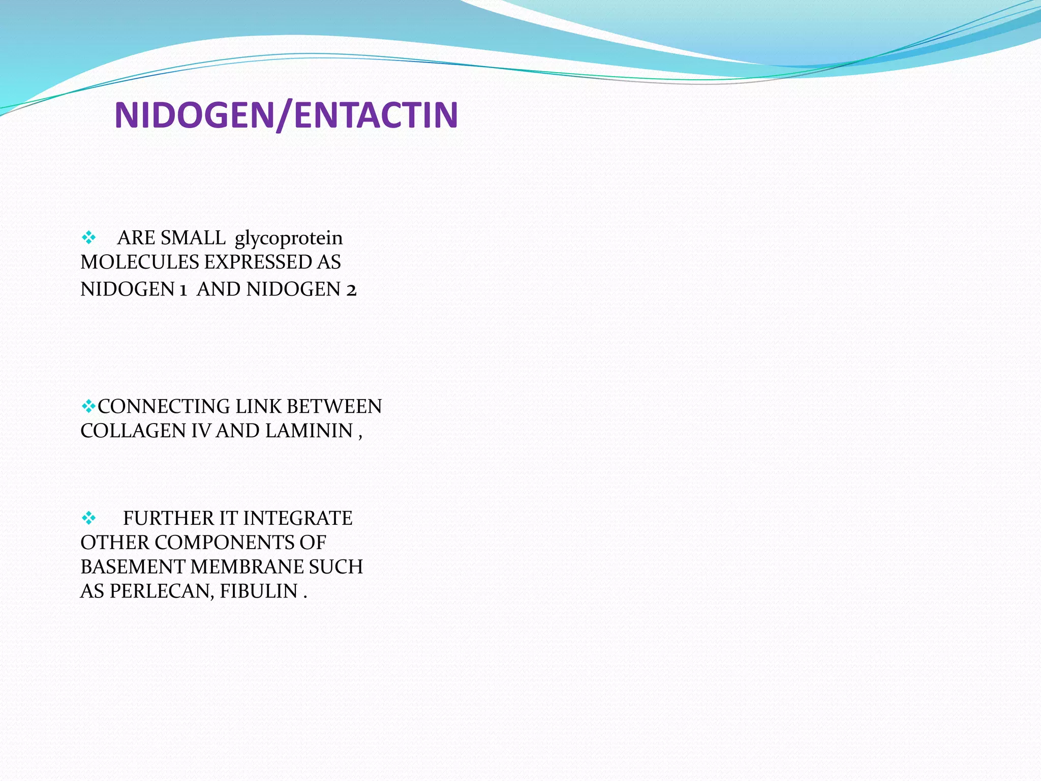 Dermo epidermal junction | PPTX