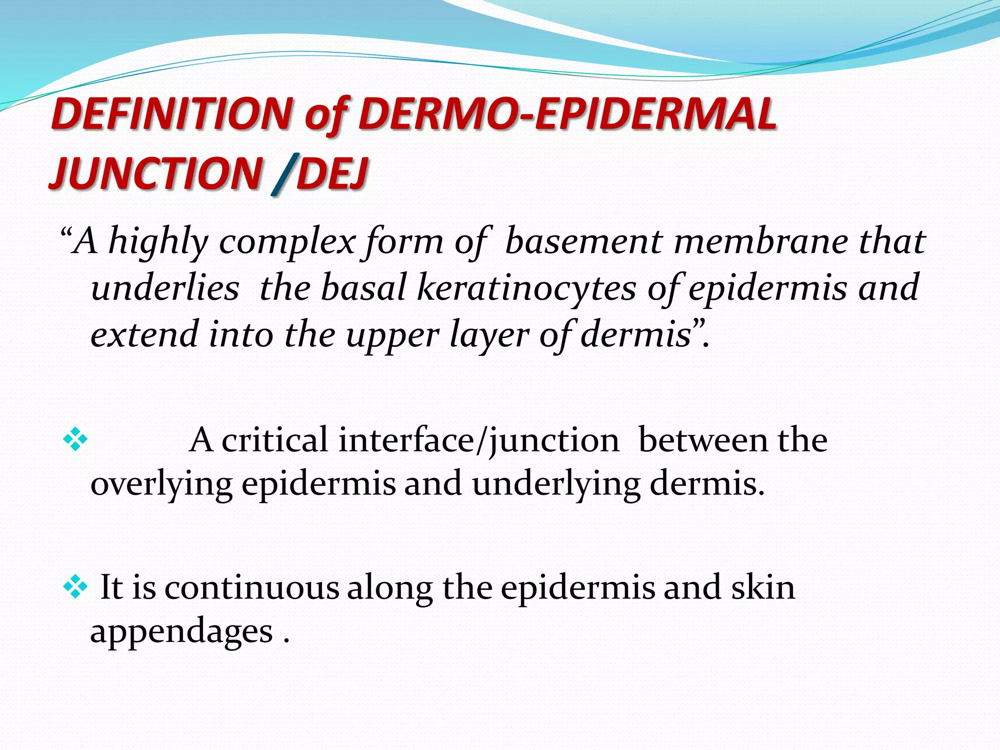 Dermo epidermal junction | PPTX