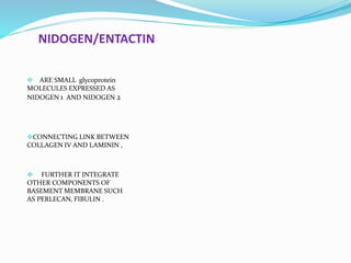 Dermo epidermal junction | PPTX