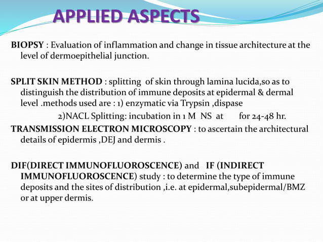 Dermo epidermal junction | PPTX | Biological Sciences | Science
