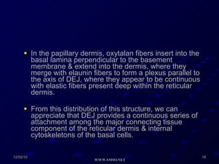 Dermo epidermal junction | PPT