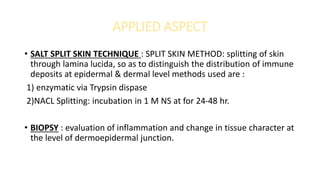 DERMO EPIDERMAL JUNCTION ( DEJ ) | PPTX