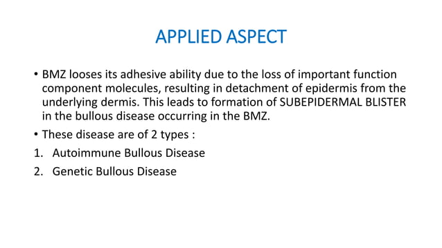 DERMO EPIDERMAL JUNCTION ( DEJ ) | PPTX | Skin and Dermatology ...