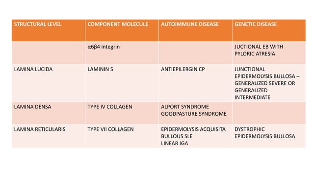 DERMO EPIDERMAL JUNCTION ( DEJ ) | PPTX | Skin and Dermatology ...