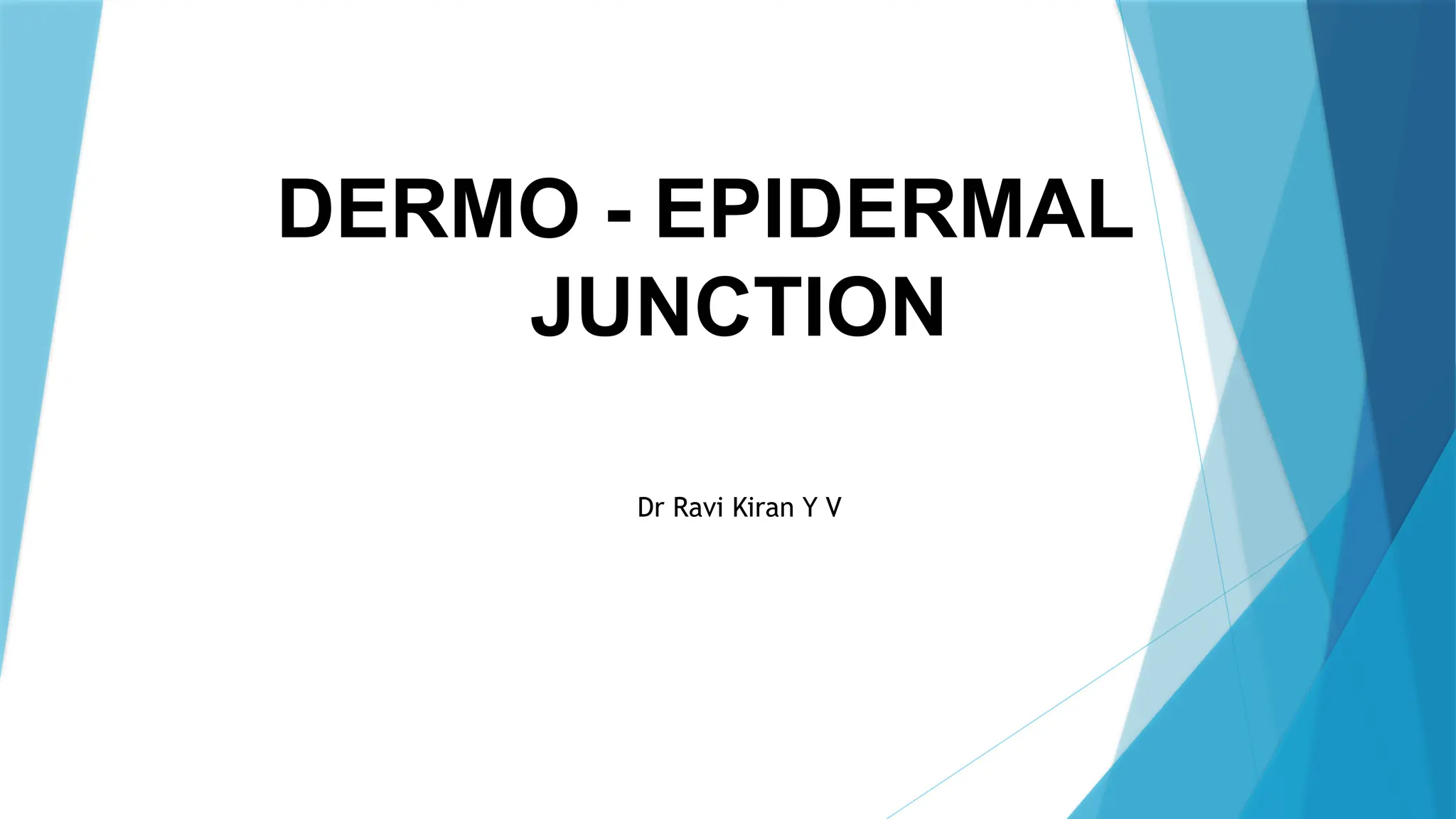 DERMO EPIDERMAL JUNCTION. Various components of basement membrane zone ...