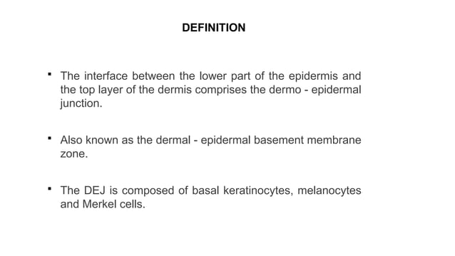 DERMO EPIDERMAL JUNCTION. Various components of basement membrane zone ...