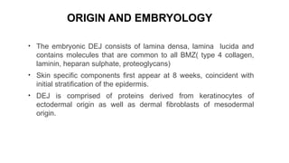 DERMO EPIDERMAL JUNCTION. Various components of basement membrane zone ...