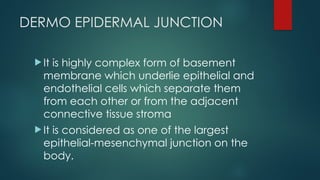 DERMOEPIDERMAL JUNCTION and subcutaneous tissue.pptx