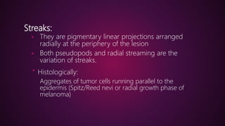 Dermoscopy an overview | PPTX