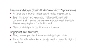 Dermoscopy an overview | PPTX
