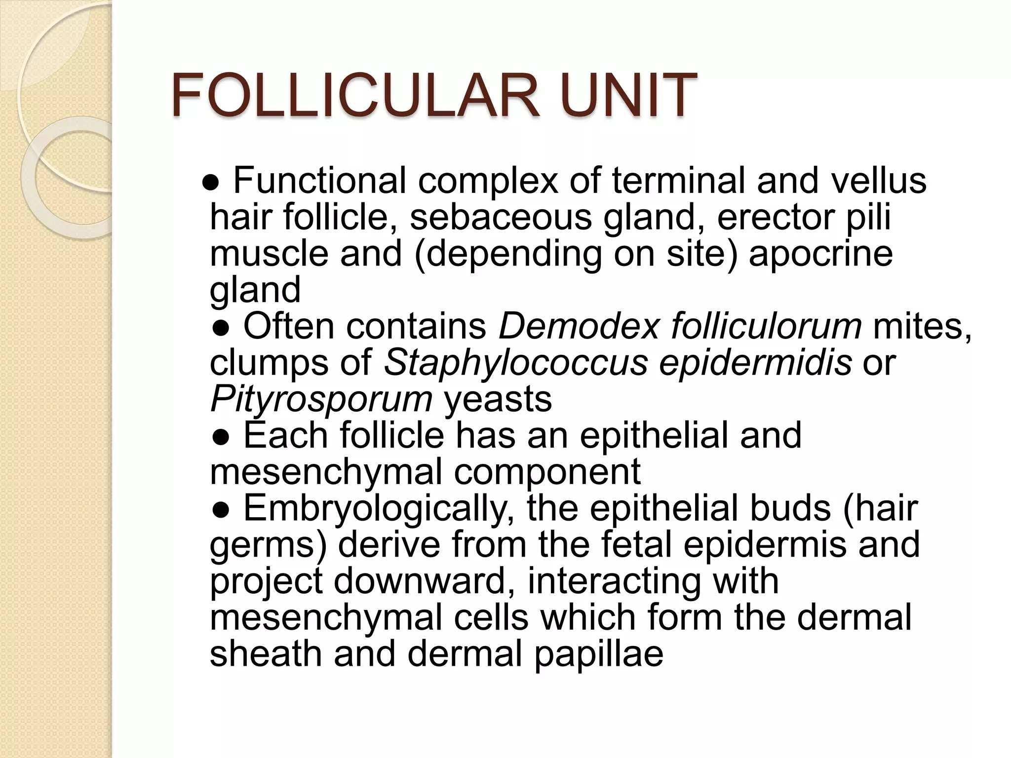 Dermpath surgical pathology | PPTX | Skin and Dermatology | Diseases ...
