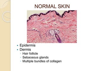 Dermpath surgical pathology | PPTX