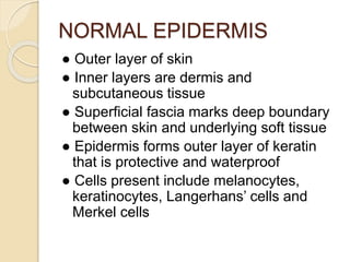 Dermpath surgical pathology | PPTX