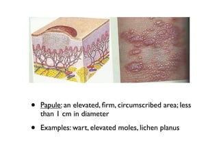 Derm slides | KEY | Skin and Dermatology | Diseases and Conditions