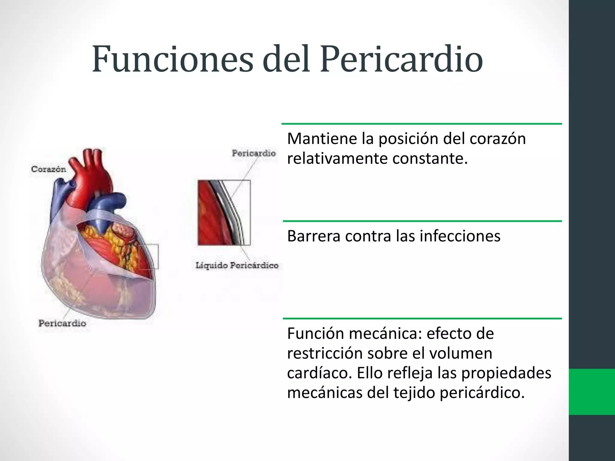 Derrame pericárdico | PPT