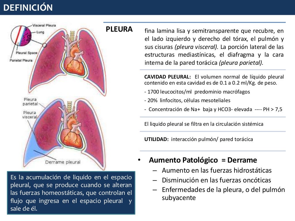 Fisiopatologia Do Derrame Pleural Retoedu