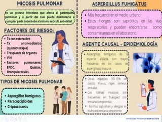 Comprehensive Overview of Pleural Effusion and Pulmonary Mycosis in ...