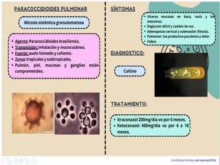 Comprehensive Overview of Pleural Effusion and Pulmonary Mycosis in ...