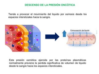 Derramepleuralnoso2017 | PPTX