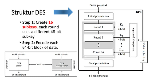 Data Encryption Standard (DES) | PDF