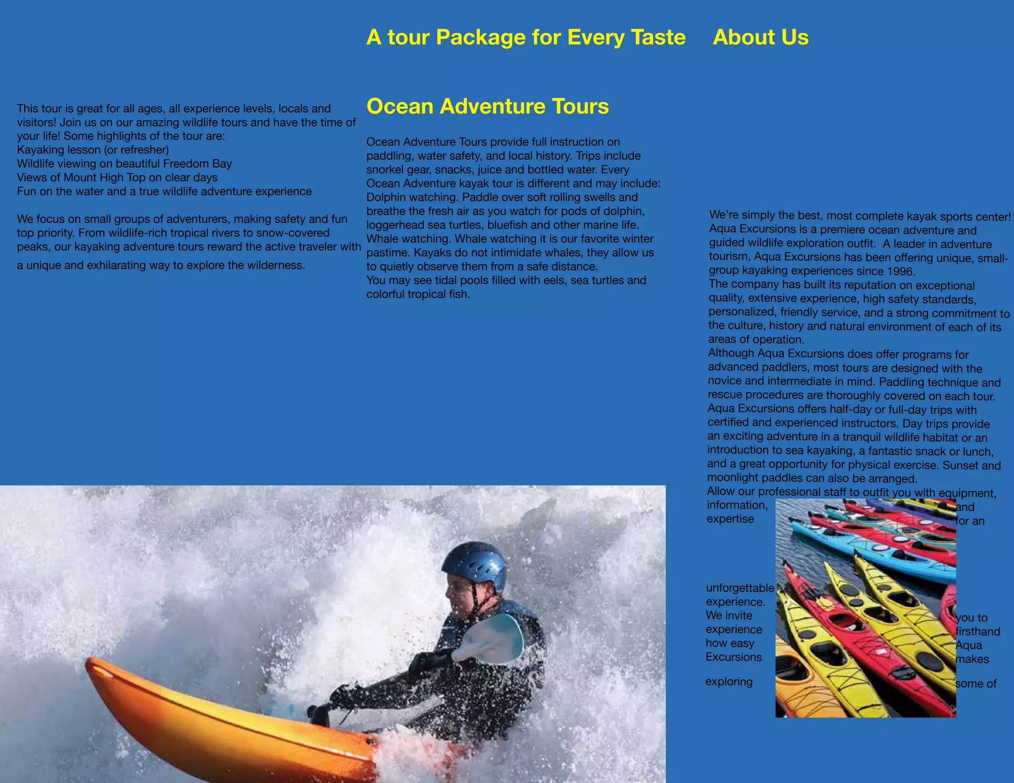 Aqua excursions advertisement | PPT