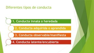 DESADAPTACION SOCIAL PSICOLOGIA UNIVERSIDAD | PPT