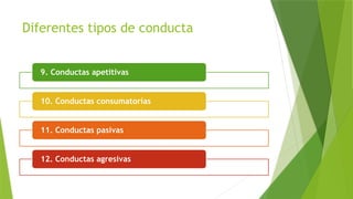 DESADAPTACION SOCIAL PSICOLOGIA UNIVERSIDAD | PPTX
