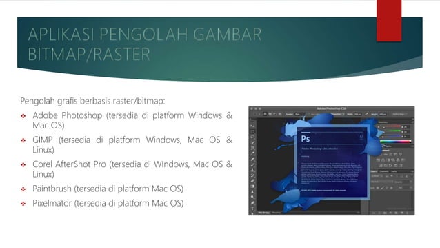 Desain gambar bitmap | PPSX