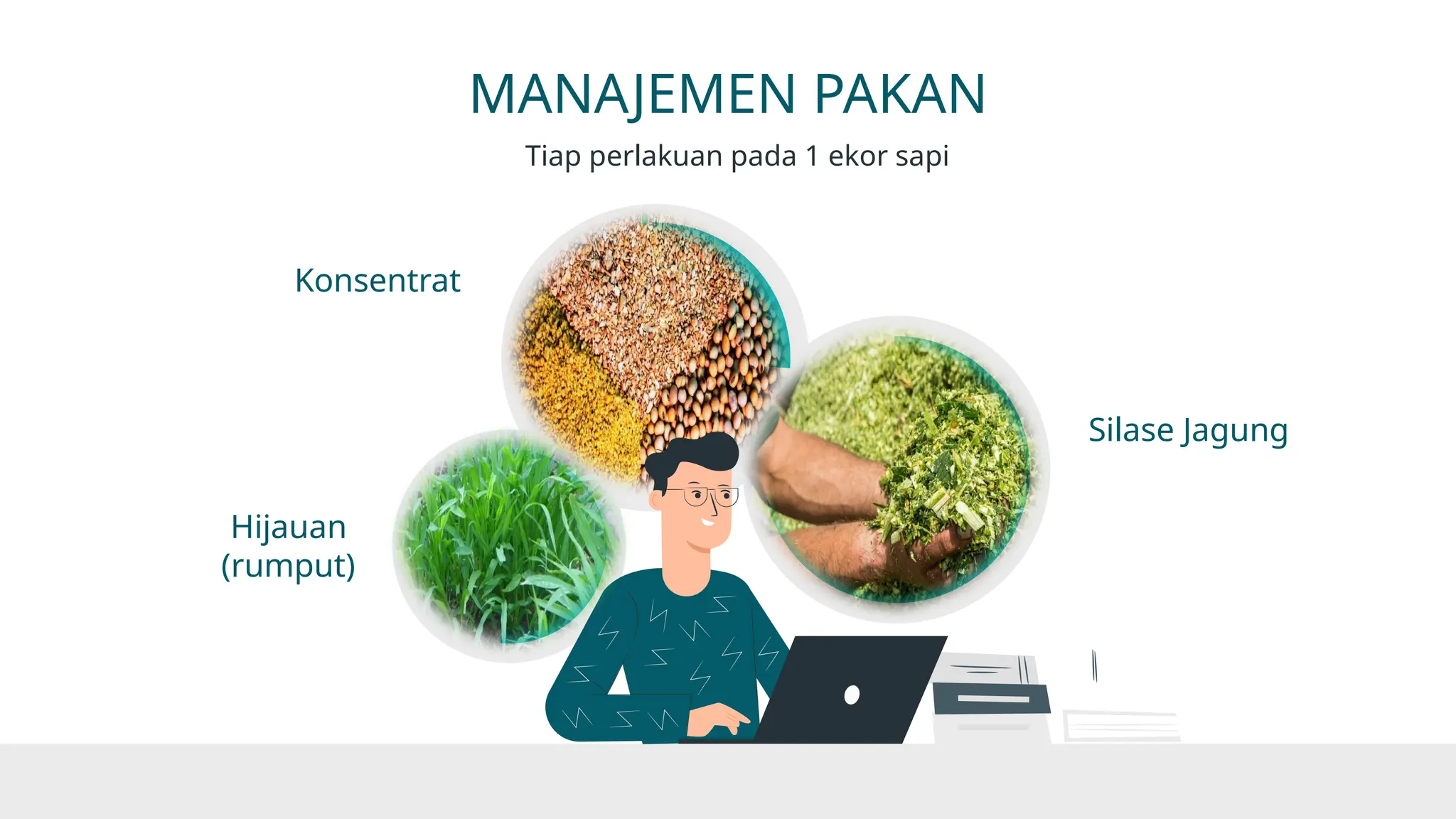 Desain Produk Manajemen Pemeliharaan Ternak Sapi | PPTX