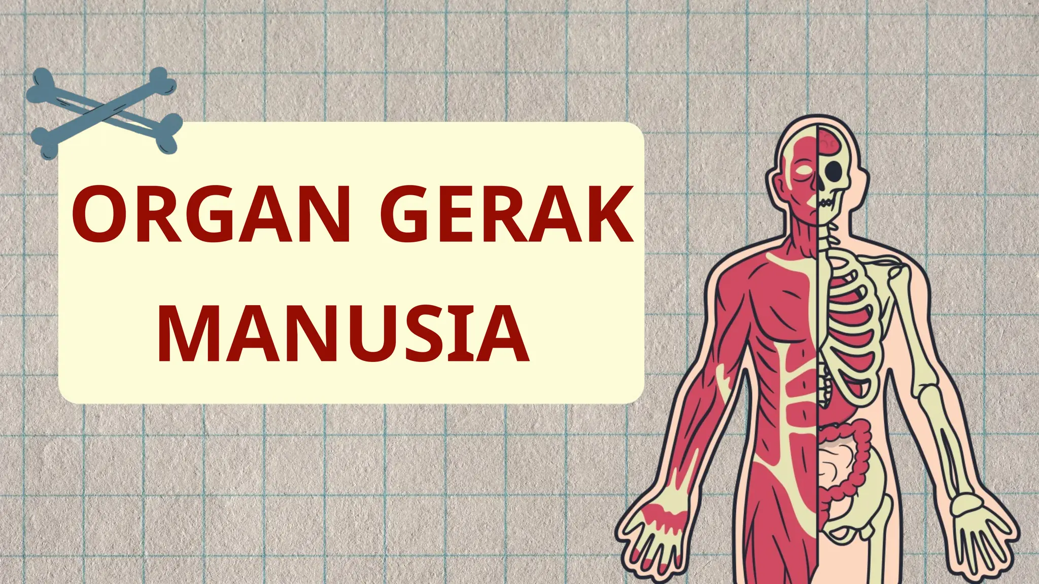Sistem gerak manusia yang membuat kita semua bisa bergerak.pptx
