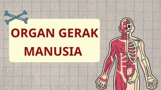 Sistem gerak manusia yang membuat kita semua bisa bergerak.pptx