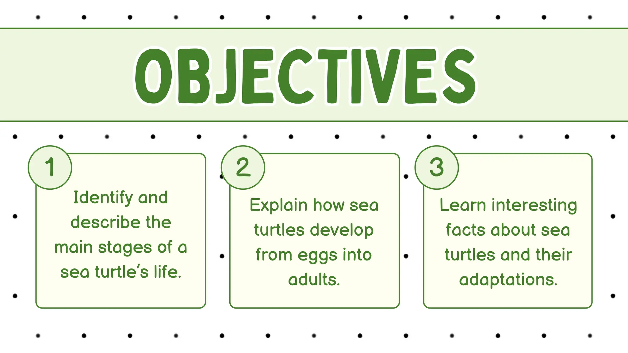 Life Cycle of Turtle (From Egg to Adult Sea Turtle) | PDF